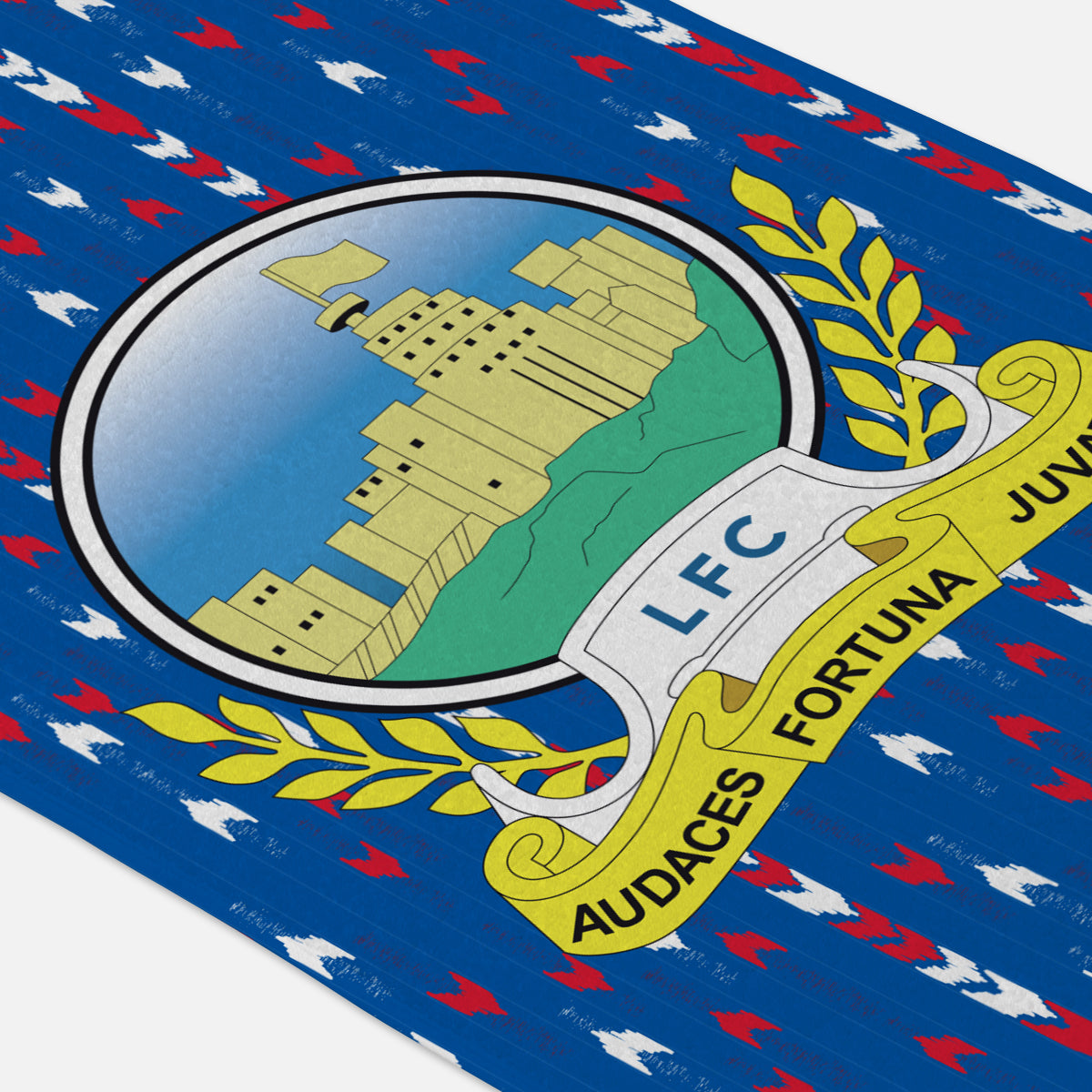 Accessories – Linfield Football Club Superstore